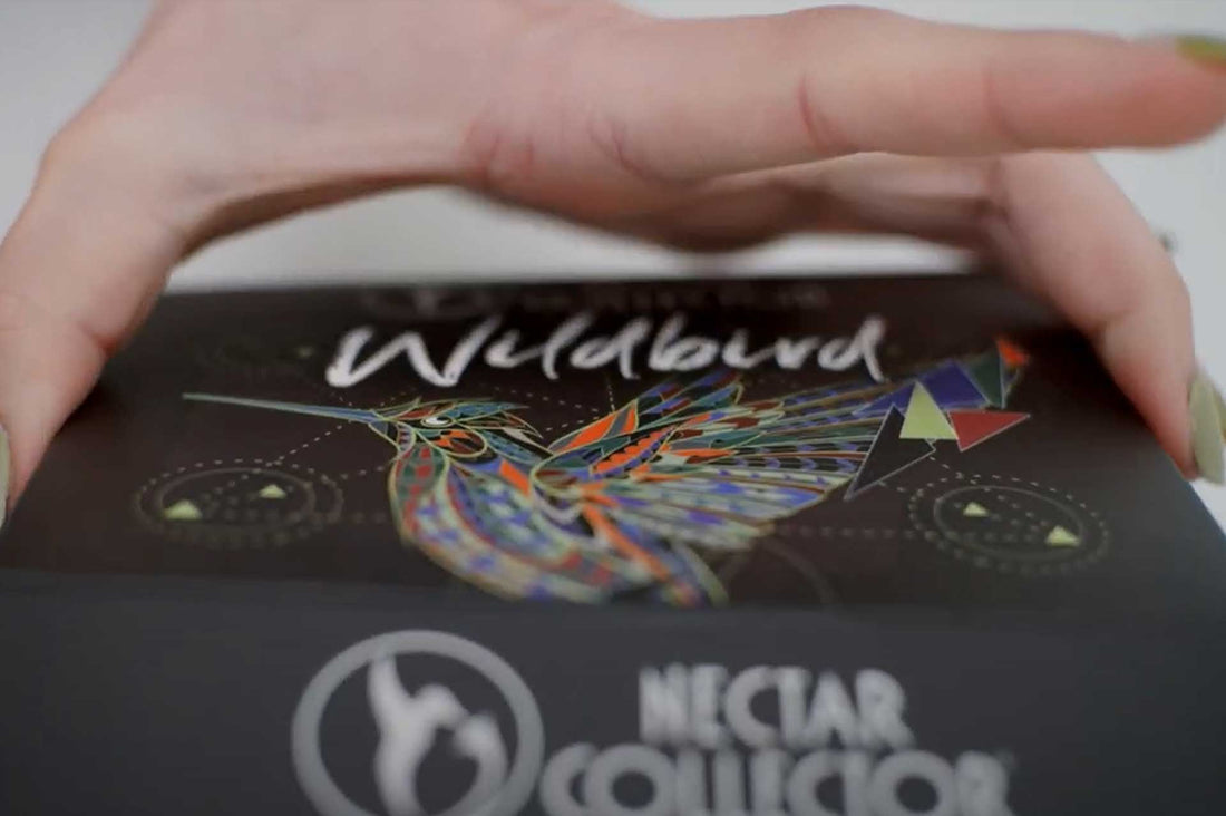 Nectar Collector® Wildbird Kit